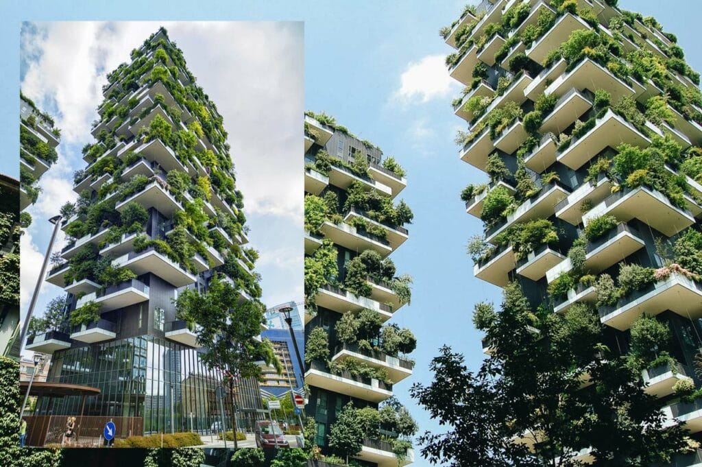 Green Corner Of Ratchathewi - Urban Creature