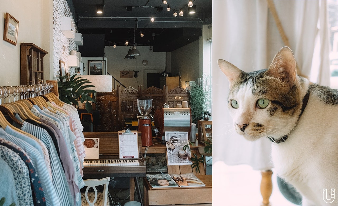 Zakka Shop & Cafe คาเฟ่ของคู่รักย่านเอกมัย - Urban Creature