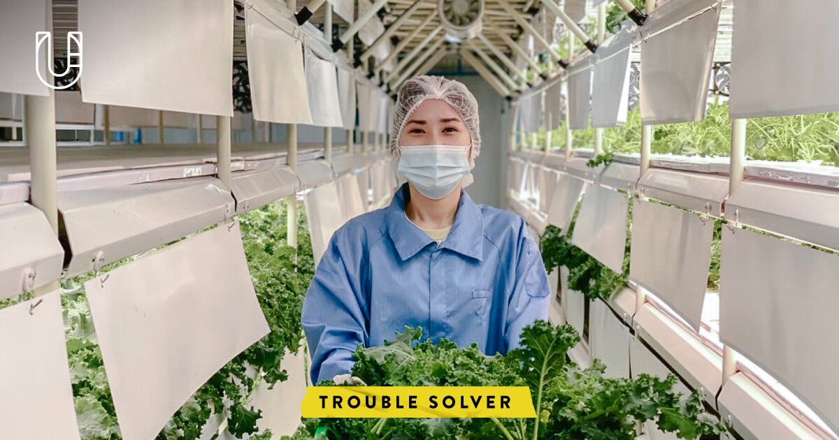 LED Farm ปลูกพืชด้วย PFAL - Urban Creature