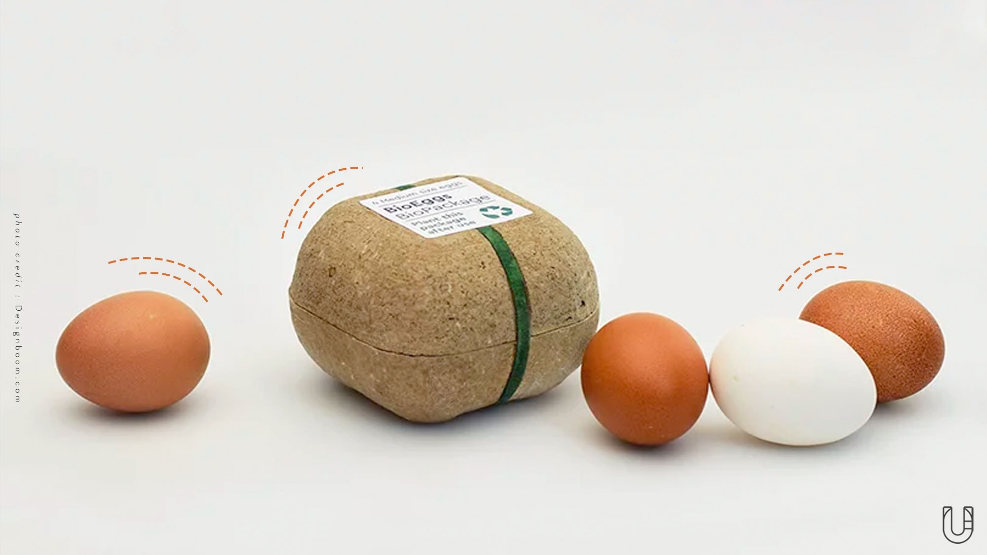 พี่ๆ มีถั่วไหม ? ‘Biopack’ แผงไข่ที่ปลูกถั่วได้ - Urban Creature