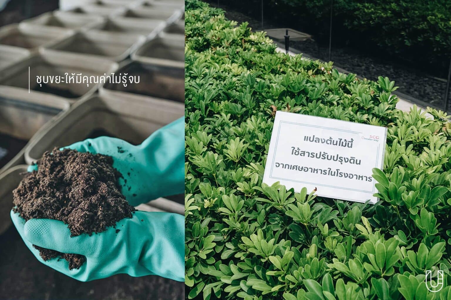 ‘ใช้คุ้ม แยกเป็น ทิ้งถูก’ จิ๊กซอว์ชิ้นเเรกของอนาคตขยะไทย - Urban Creature