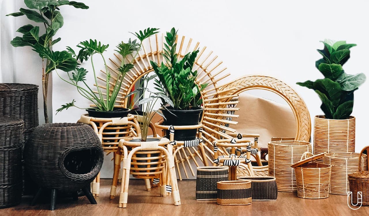 ‘Litin’ แบรนด์เฟอร์นิเจอร์หวาย ฝีมือจากชุมชนไทย - Urban Creature