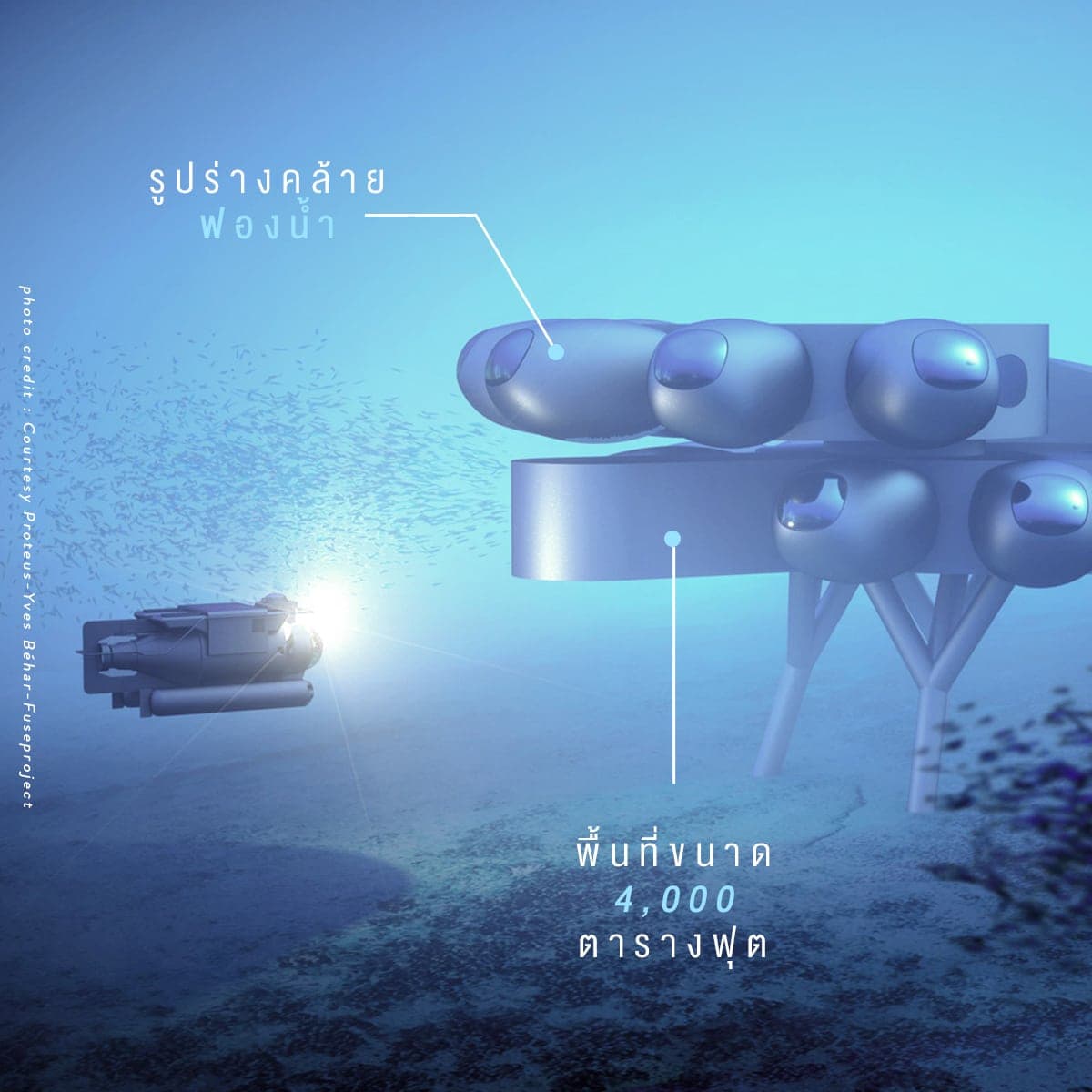 ‘Proteus’ โปรเจกต์ที่อยู่อาศัยใต้น้ำแห่งแรกของโลก - Urban Creature