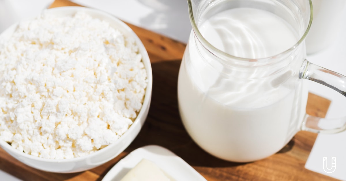 Lab-grown milk จาก Perfect Day - Urban Creature