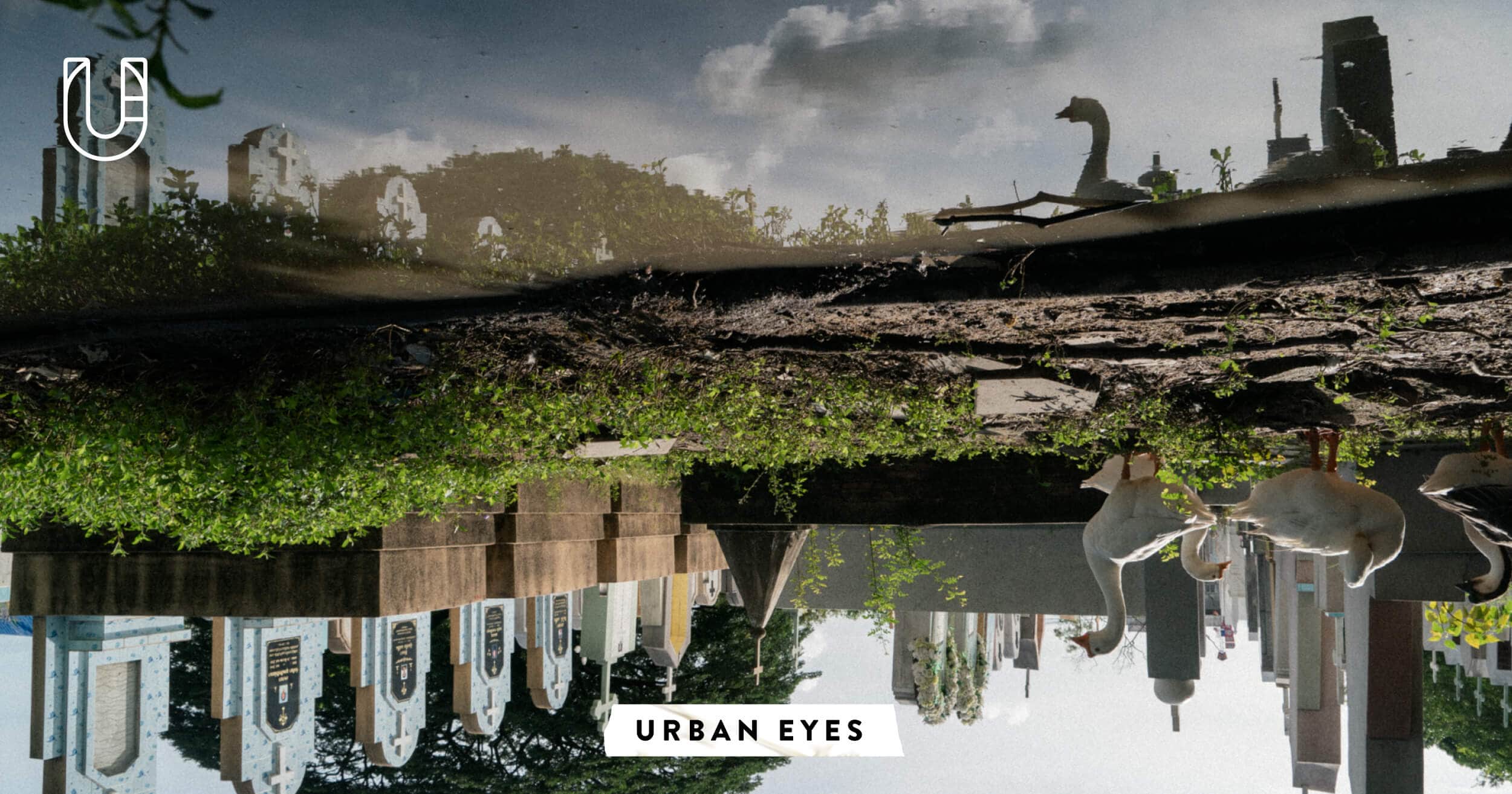 Bangkok eyes 02/50 เขตหนองจอก - Urban Creature
