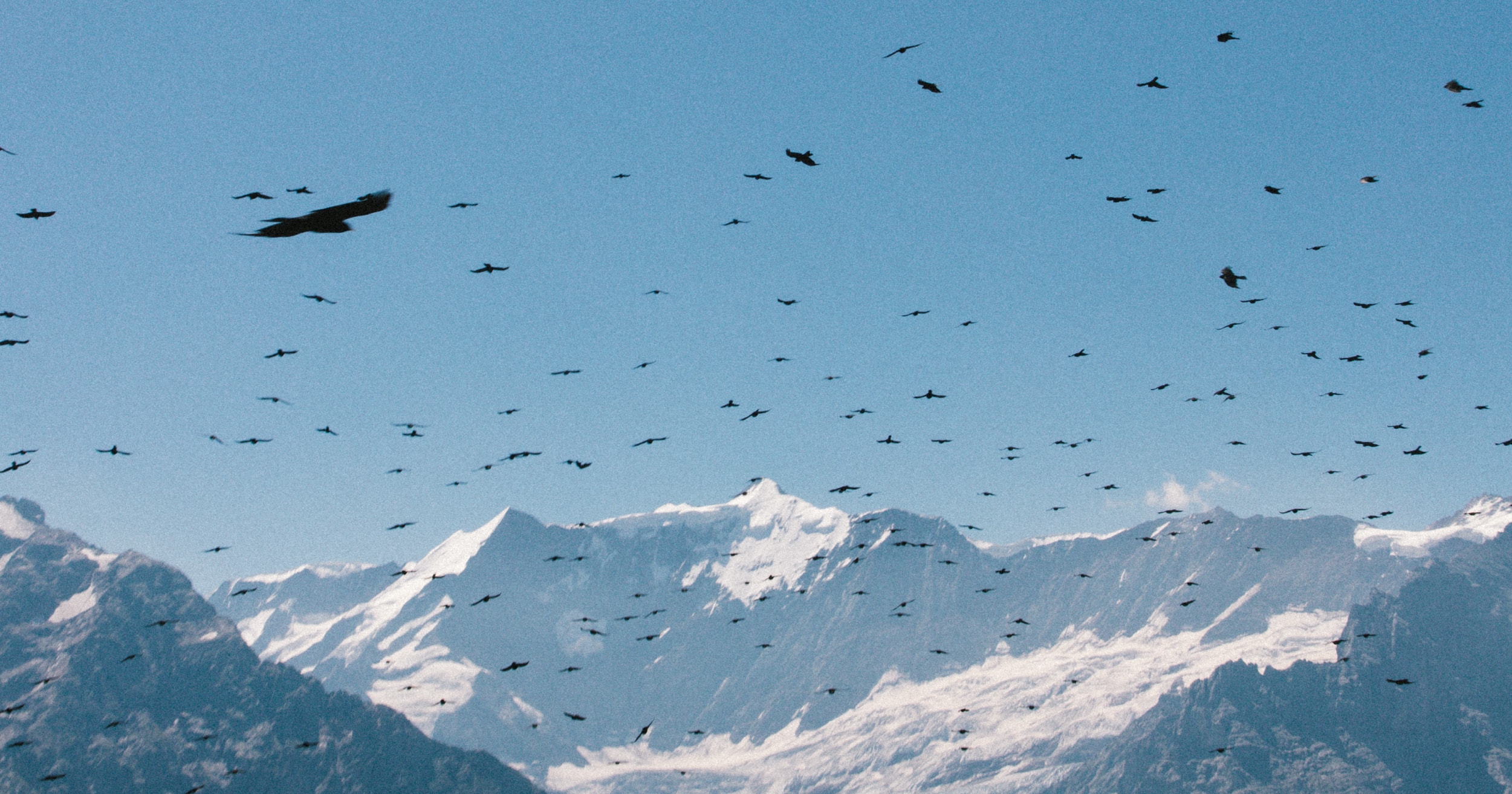 Wander Around ระหว่างทางของเส้นทางชีวิต - Urban Creature