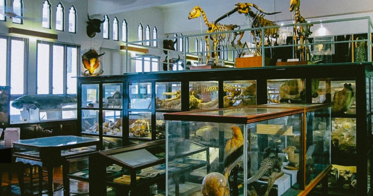 Night at the Museum 16 - 18 ธ.ค. 65 ที่จุฬาฯ - Urban Creature