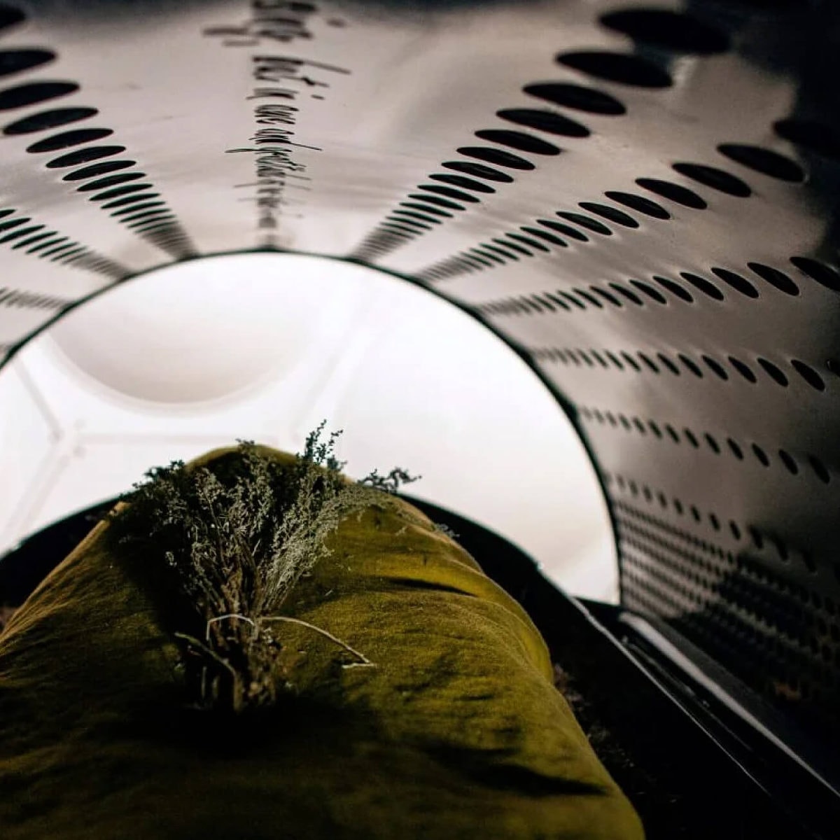 Recompose โรงงานทำปุ๋ยหมักจากมนุษย์ - Urban Creature