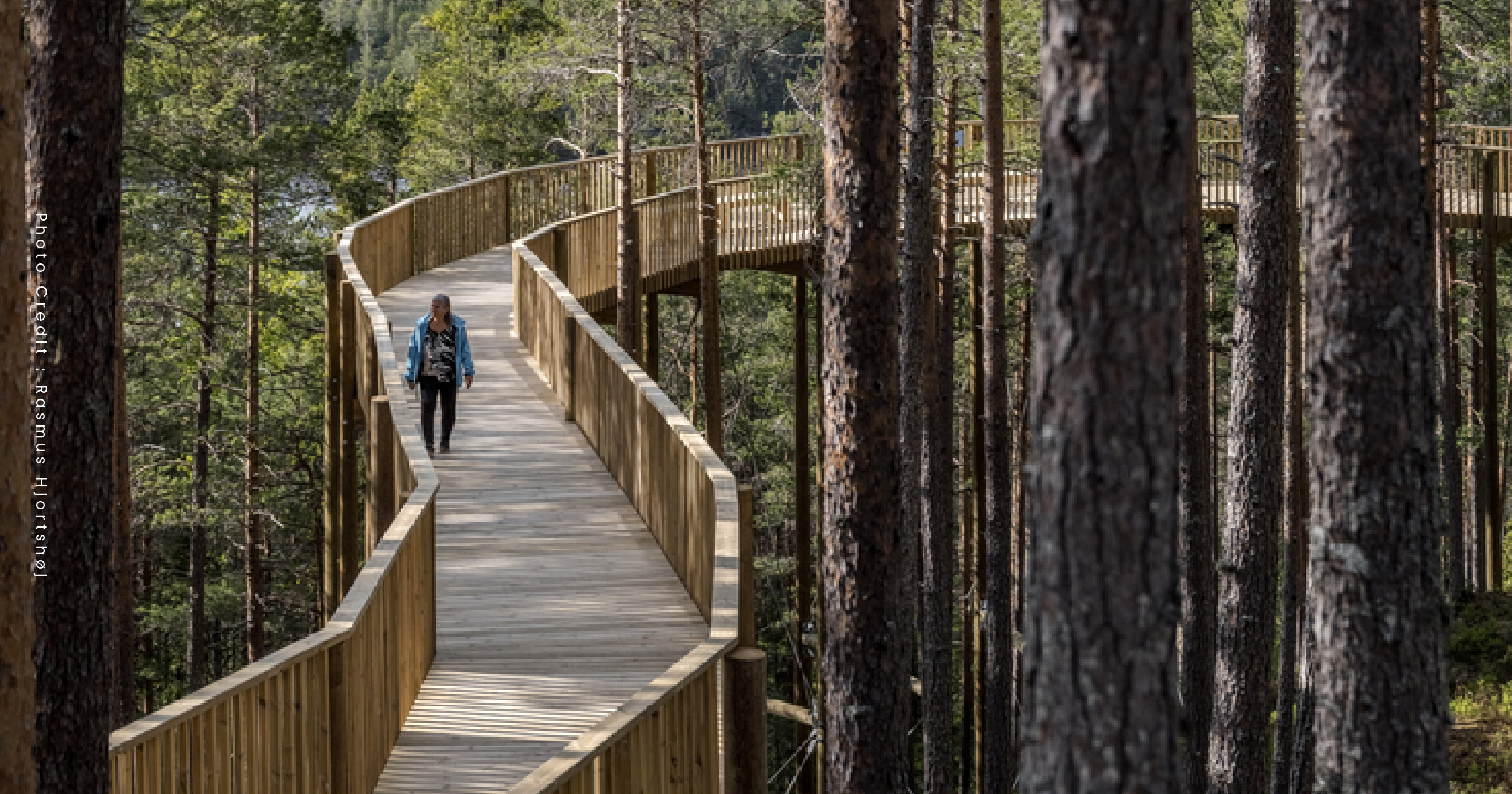 Treetop Walkway ดีไซน์ให้ทุกคนใช้งานอย่างทั่วถึง - Urban Creature