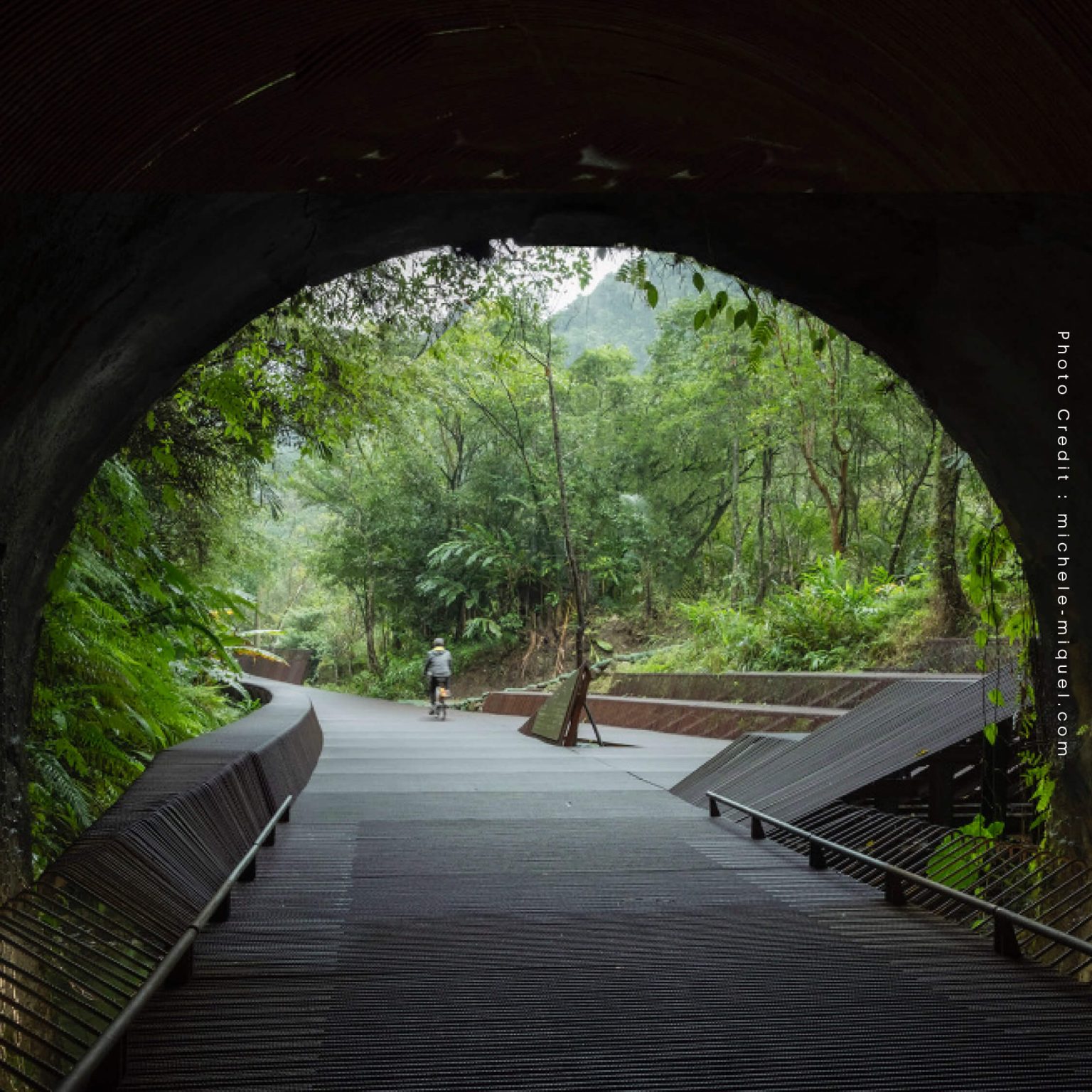 The Dark Line เส้นทางชมธรรมชาติในไต้หวัน - Urban Creature