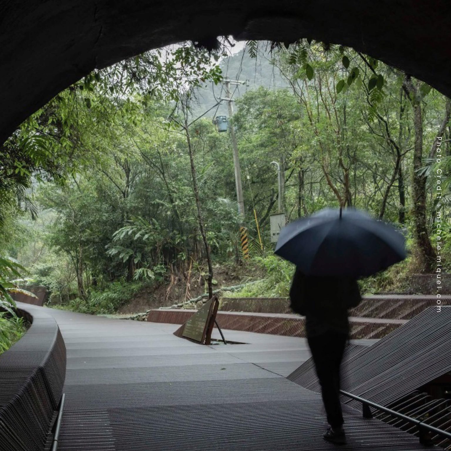 The Dark Line เส้นทางชมธรรมชาติในไต้หวัน - Urban Creature