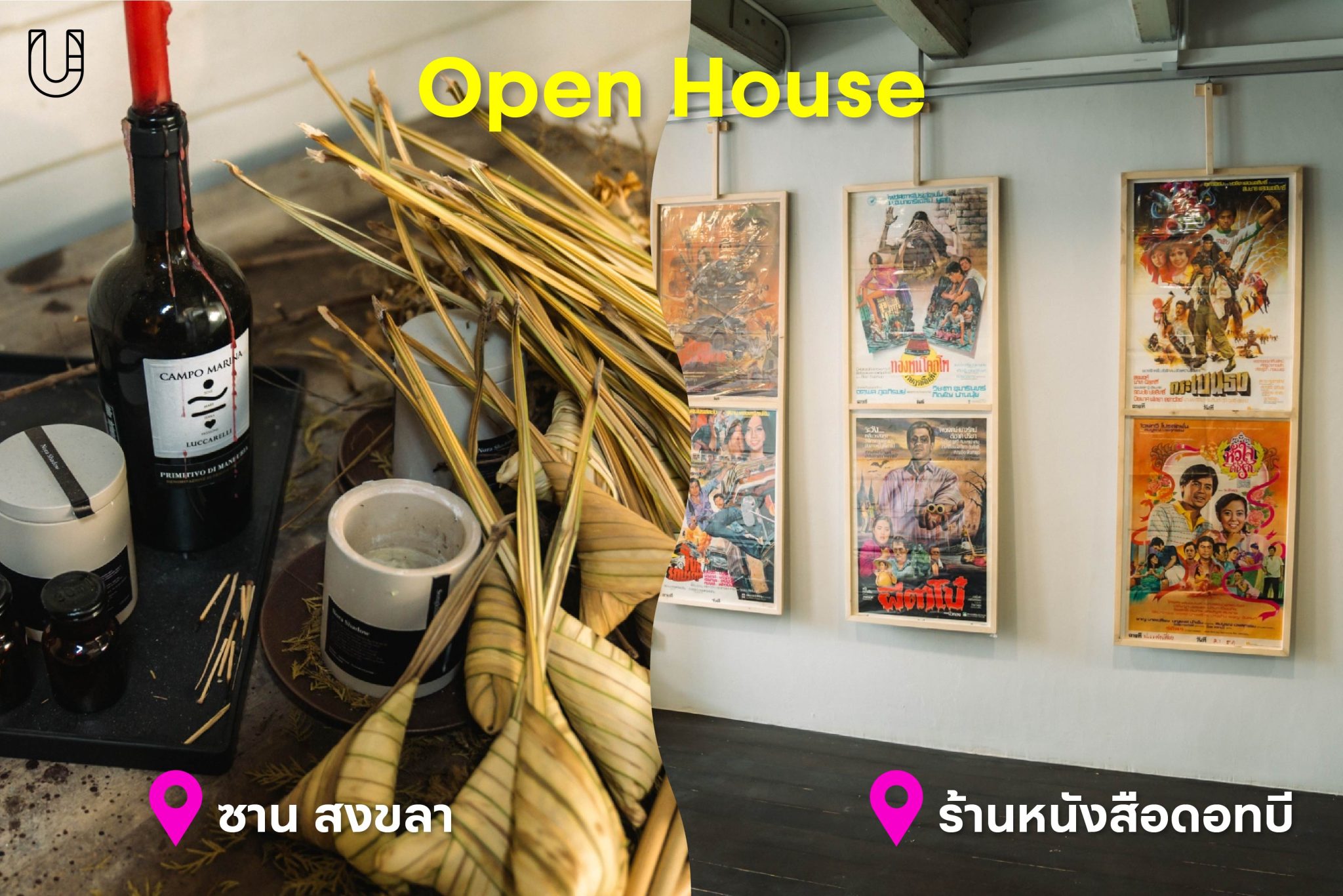 ‘Pakk Taii Design Week 2023’ หลบเริน แล้วผลิบาน - Urban Creature