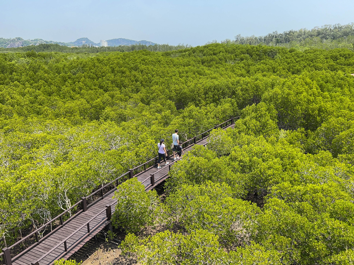 เที่ยวไทยอย่างยั่งยืนกับ ‘STGs เที่ยว 4 ดี’ - Urban Creature