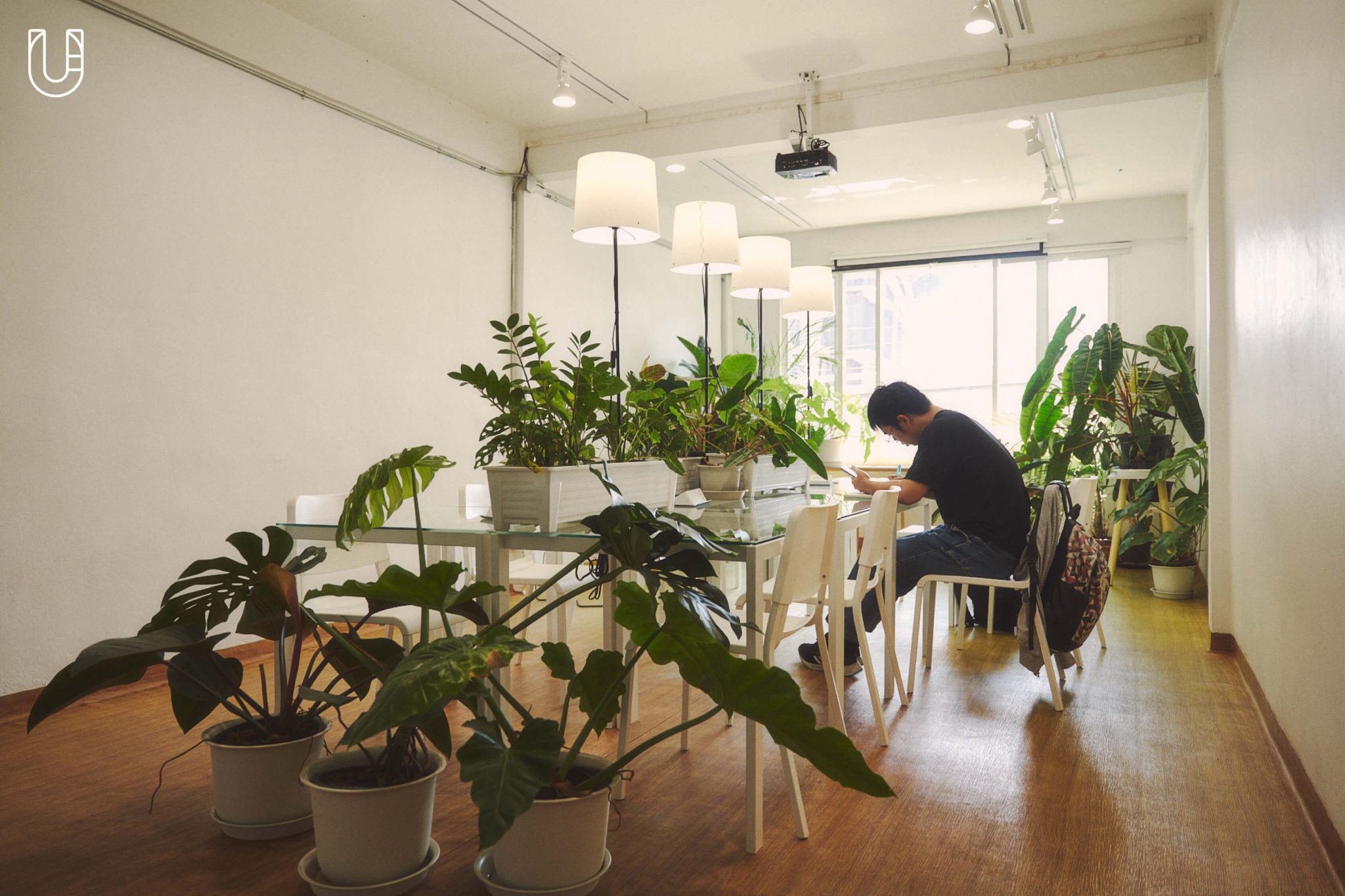 Plant Workshop Cafe คาเฟ่ต้นไม้ในย่านราชเทวี - Urban Creature