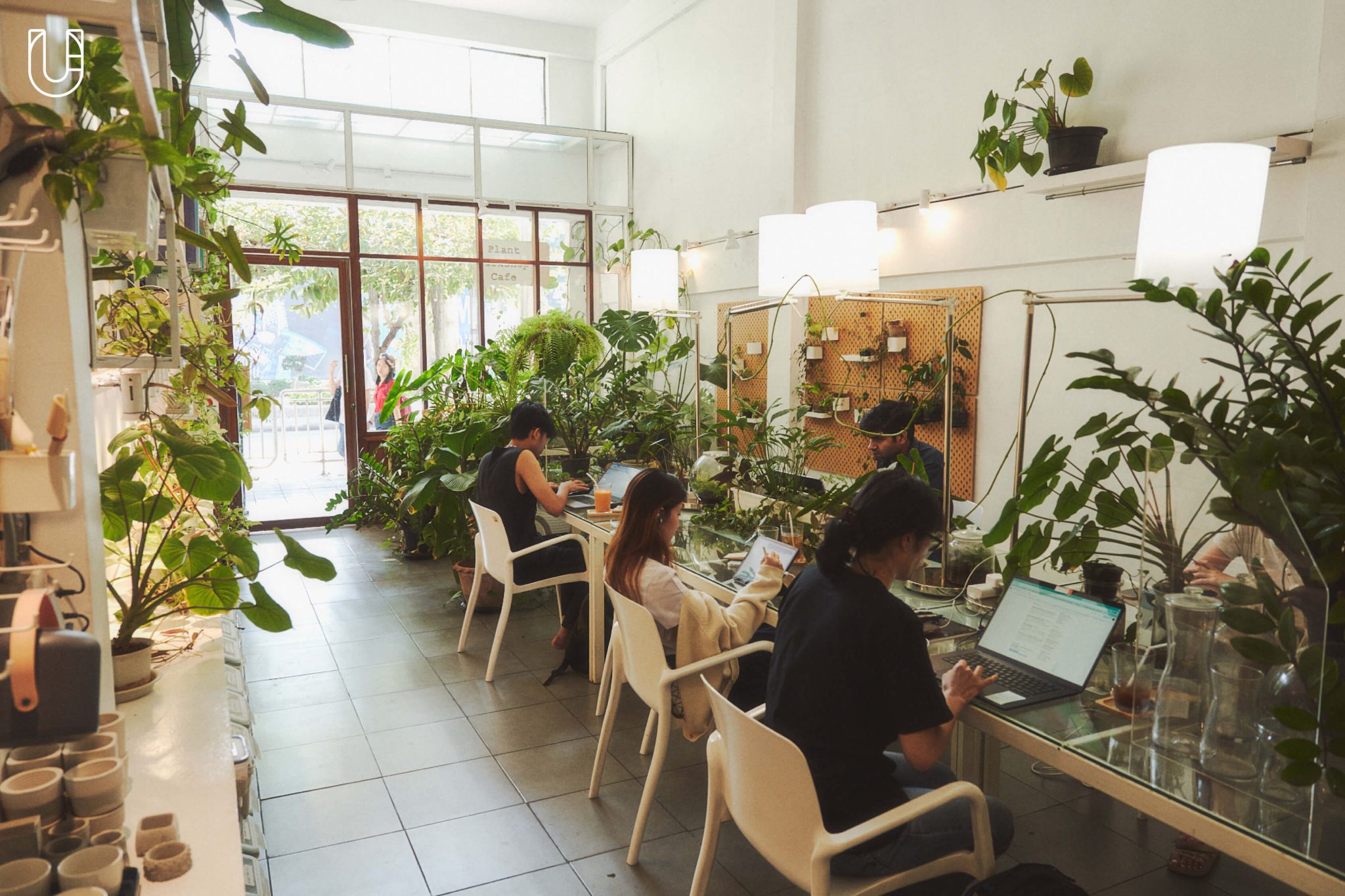 Plant Workshop Cafe คาเฟ่ต้นไม้ในย่านราชเทวี - Urban Creature