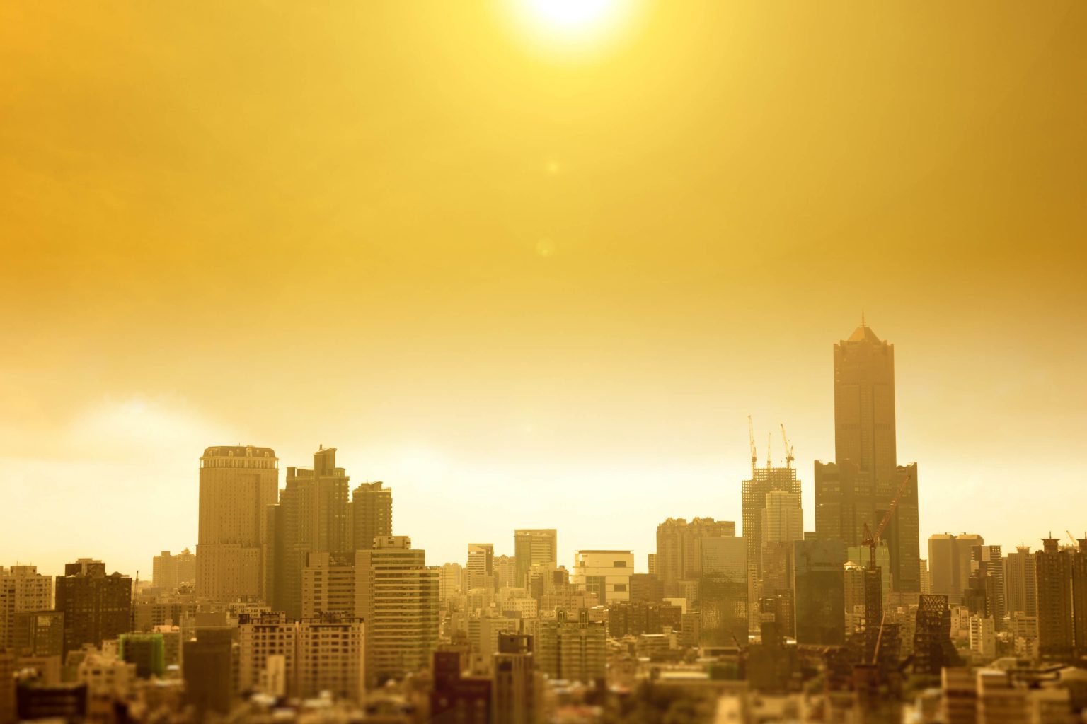 การรับมือและนโยบายป้องกันประชากรจาก Heat Wave - Urban Creature