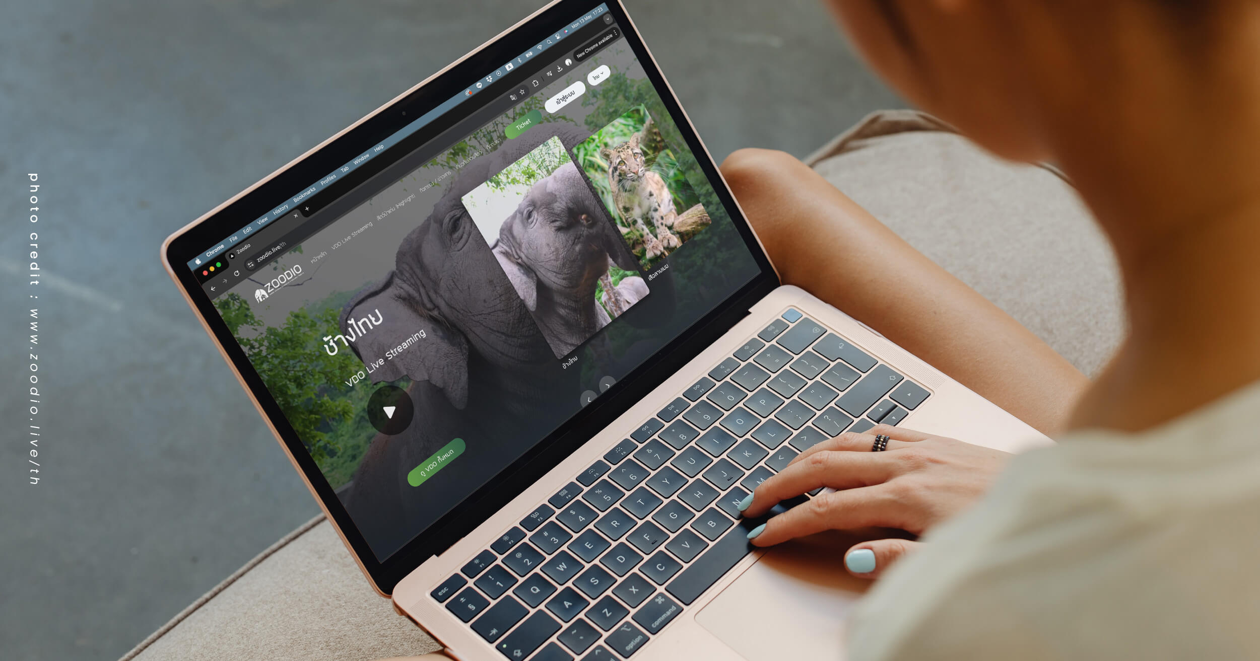 ส่องชีวิตสัตว์เขาเขียว 24 ชั่วโมง ที่ Zoodio - Urban Creature