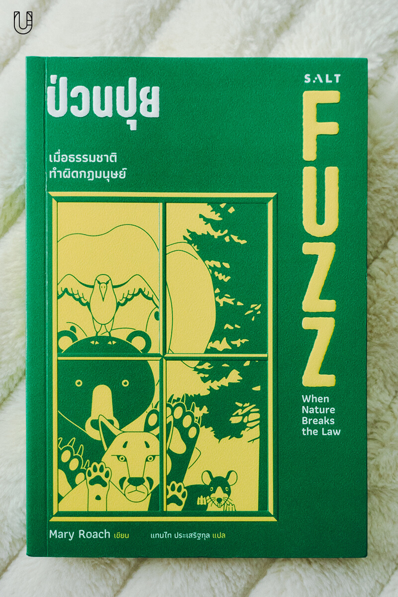 สำรวจความวายป่วงของสัตว์ป่าที่มาทำซ่าในเมืองมนุษย์ - Urban Creature