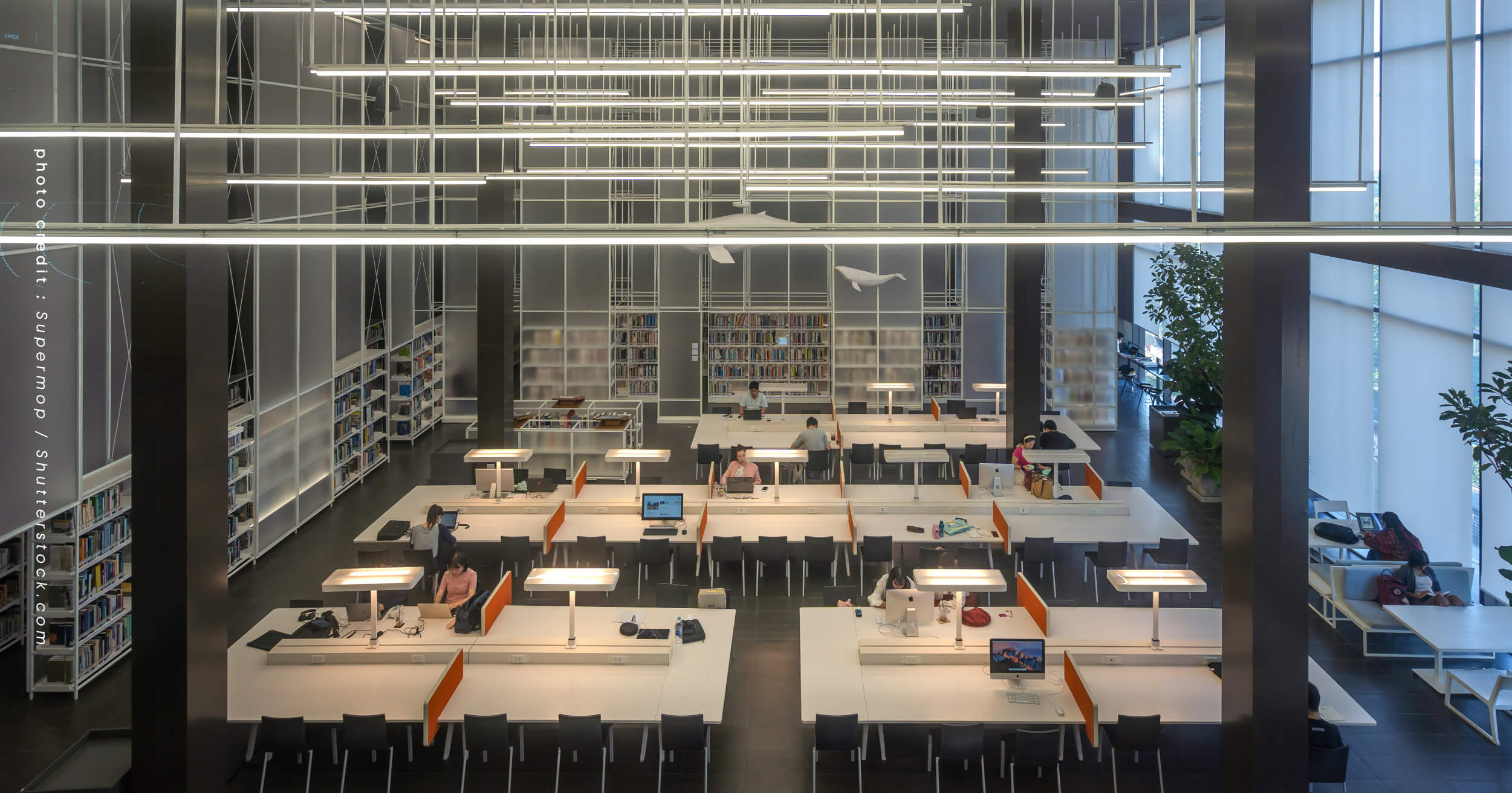 TCDC แห่งใหม่ 10 จังหวัดทั่วไทย - Urban Creature