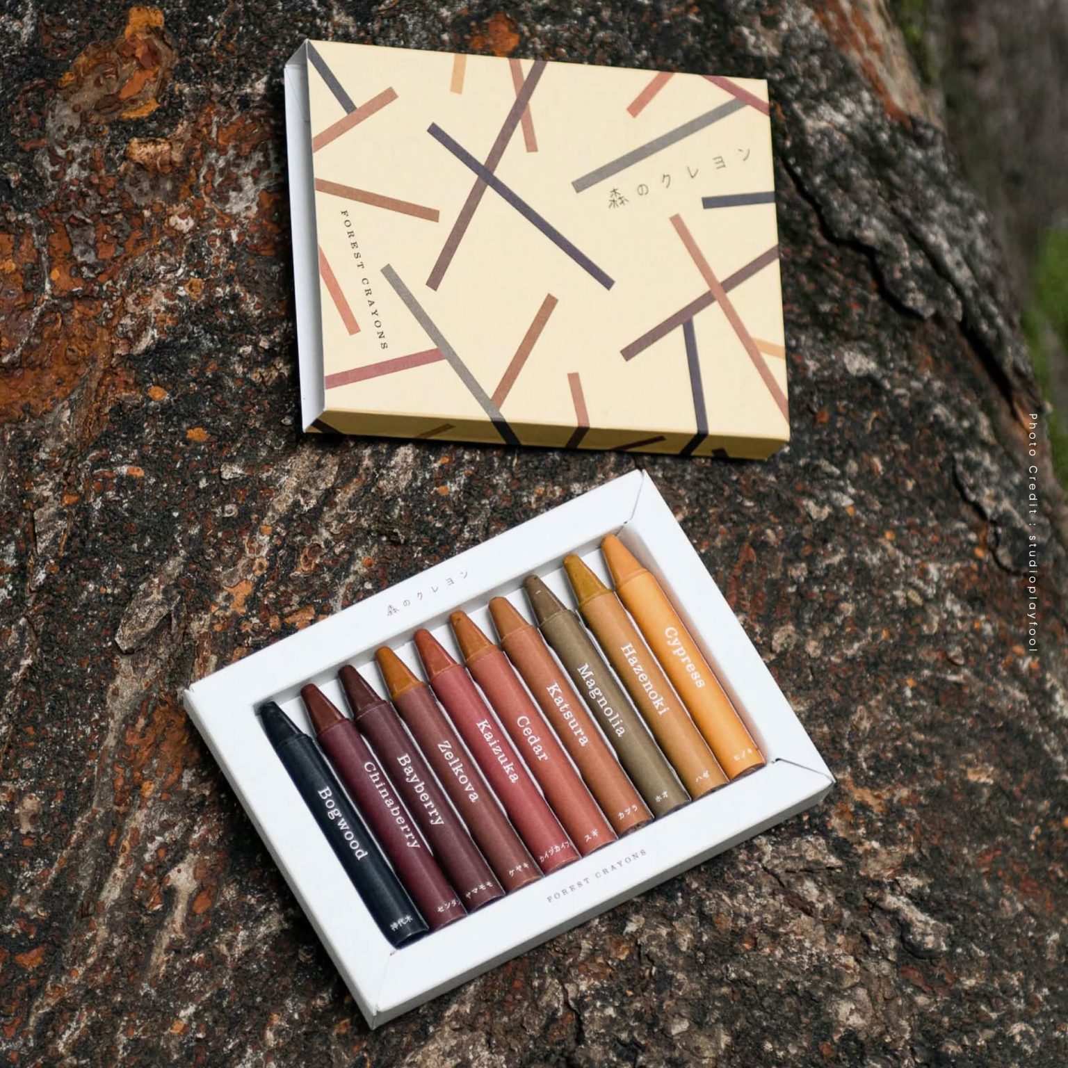 ‘Forest Crayons’ สีเทียนธรรมชาติจากไม้รีไซเคิล - Urban Creature