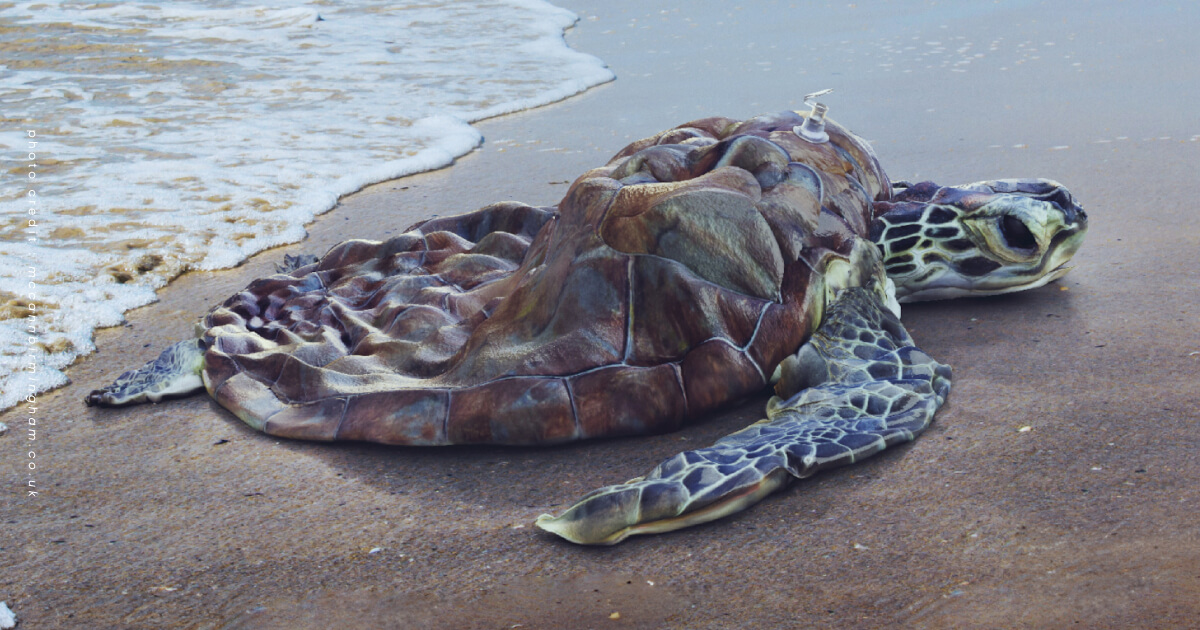 แคมเปญ Deflatables รณรงค์ลดการทิ้งของเล่นเป่าลม - Urban Creature