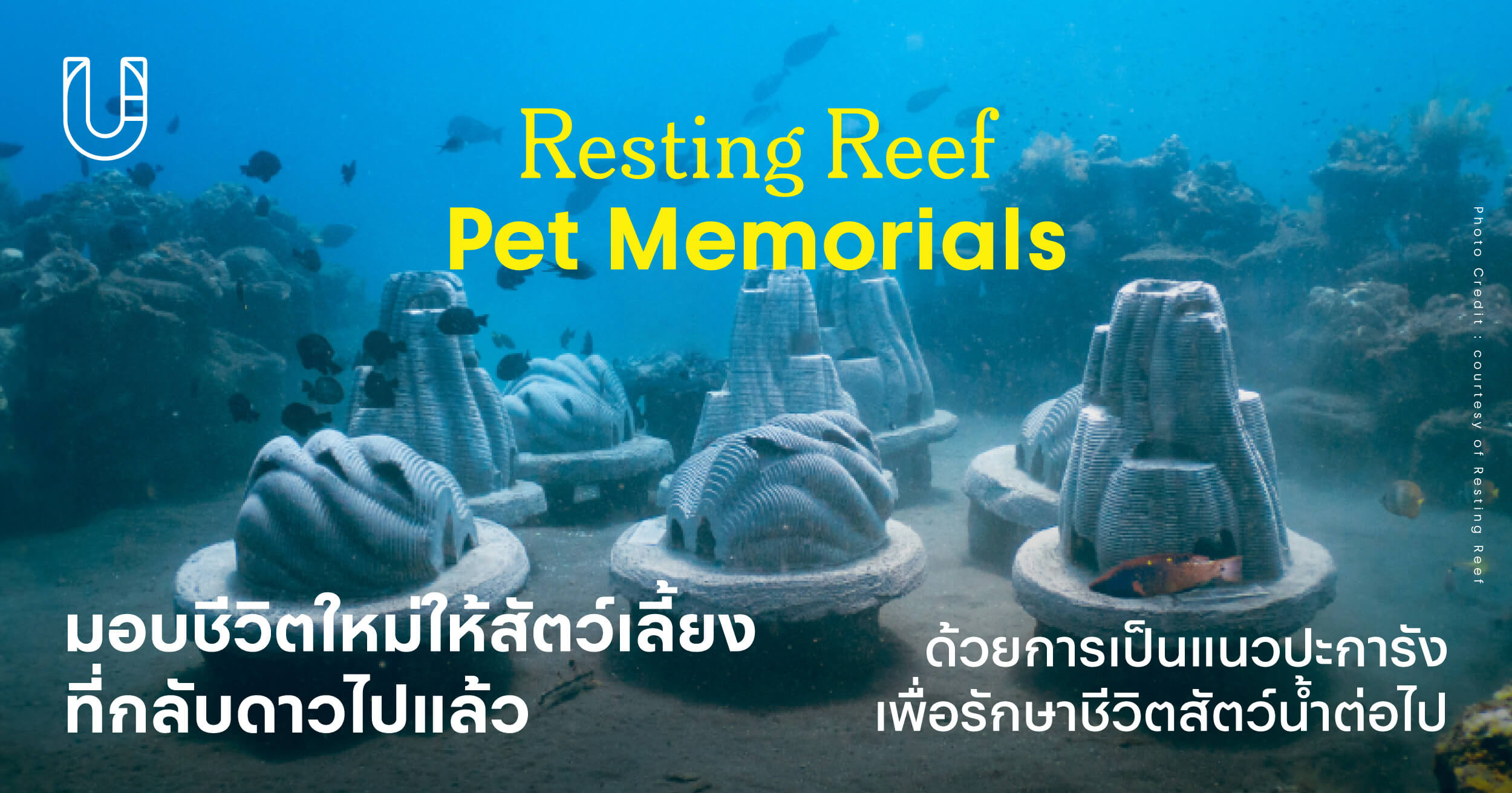 แนวปะการังจากเถ้ากระดูกสัตว์เลี้ยง - Urban Creature