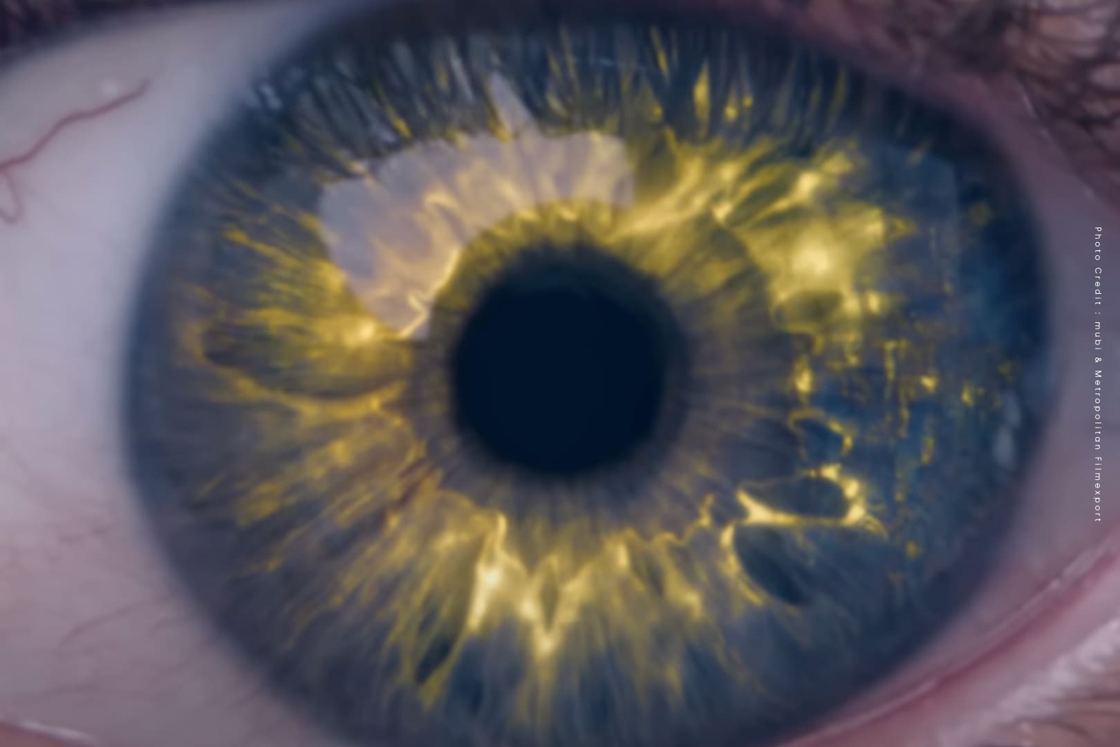 ทุนนิยม ความงาม และชายเป็นใหญ่ใน THE SUBSTANCE - Urban Creature