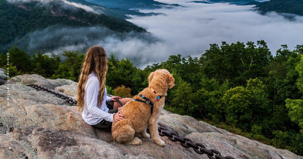 ส่องชีวิตสัตว์เขาเขียว 24 ชั่วโมง ที่ Zoodio - Urban Creature